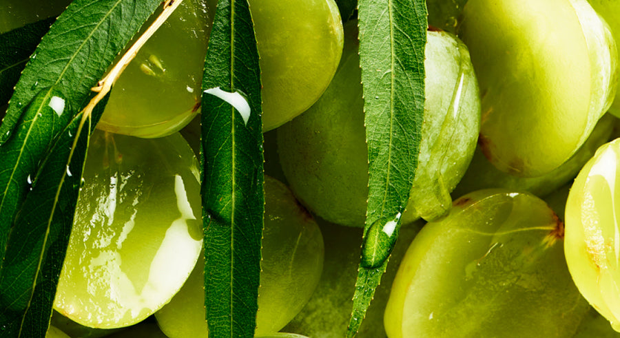 What Are AHAs? Alpha Hydroxy Acid Benefits and How to Use | Farmacy Beauty
